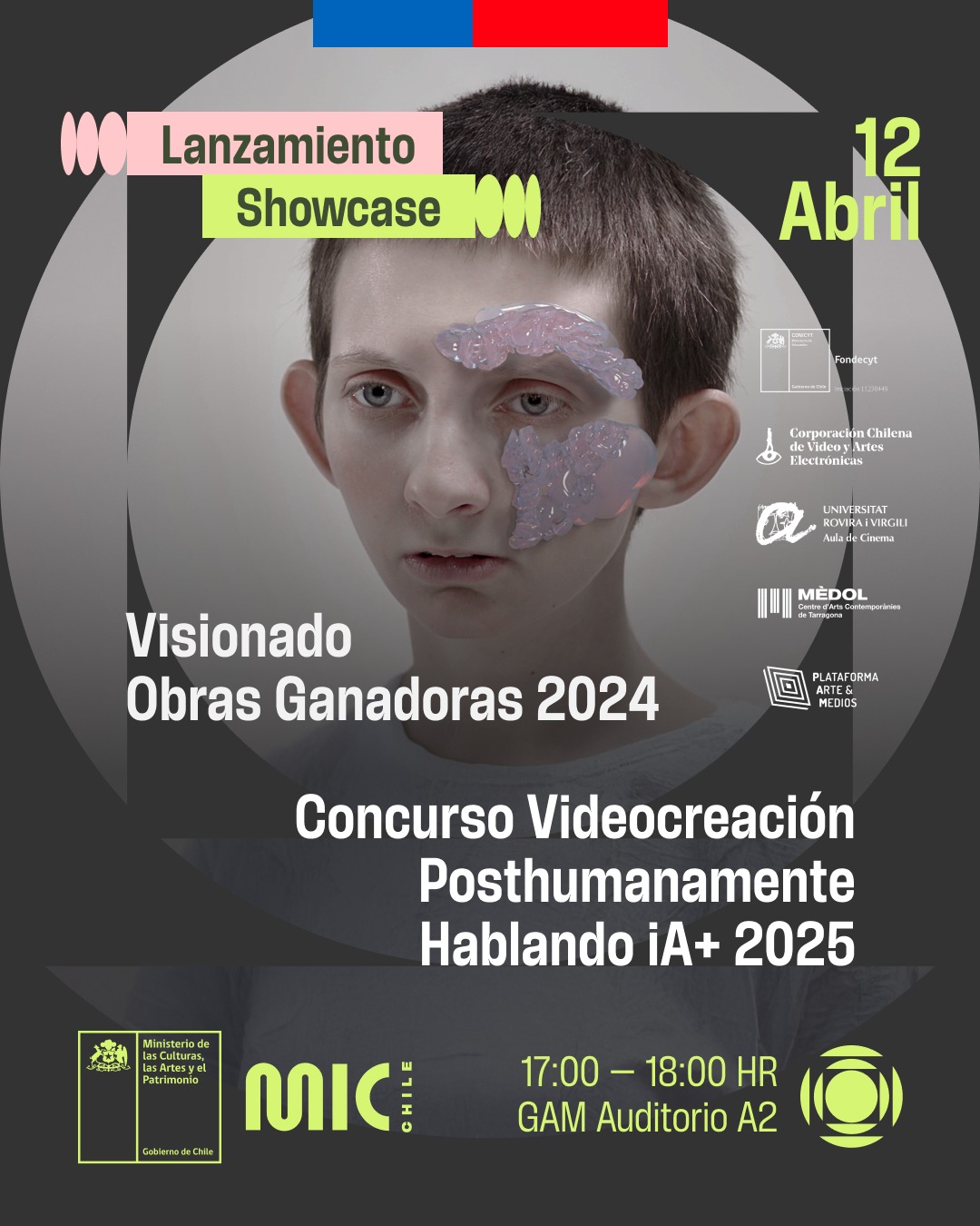 En MIC Chile 2025: Visionado videocreación Posthumanamente iA+ 2024 + Concurso videocreación ...